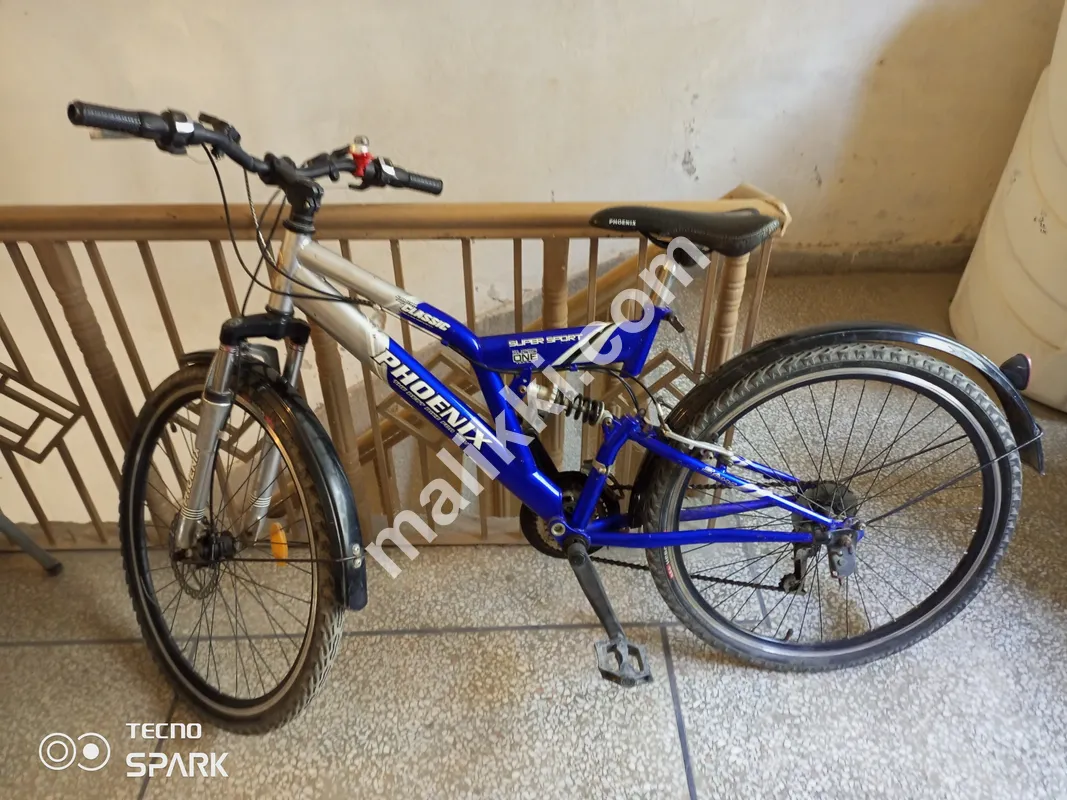 Phoenix cycle | Malikki.com